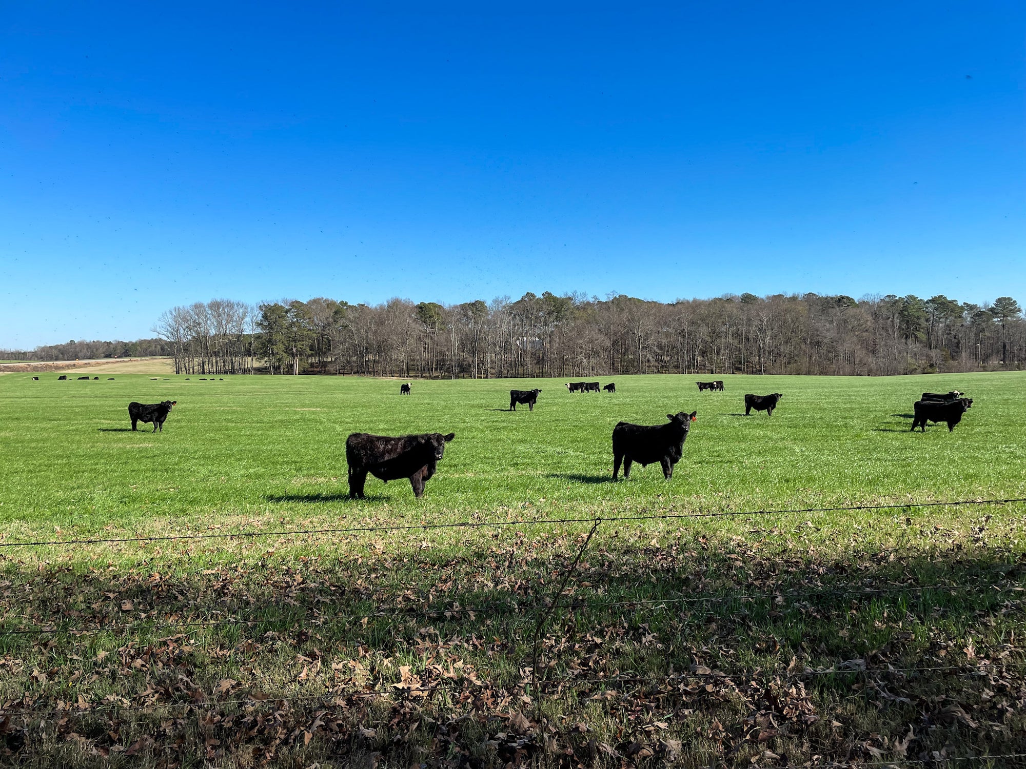 Walters Farms